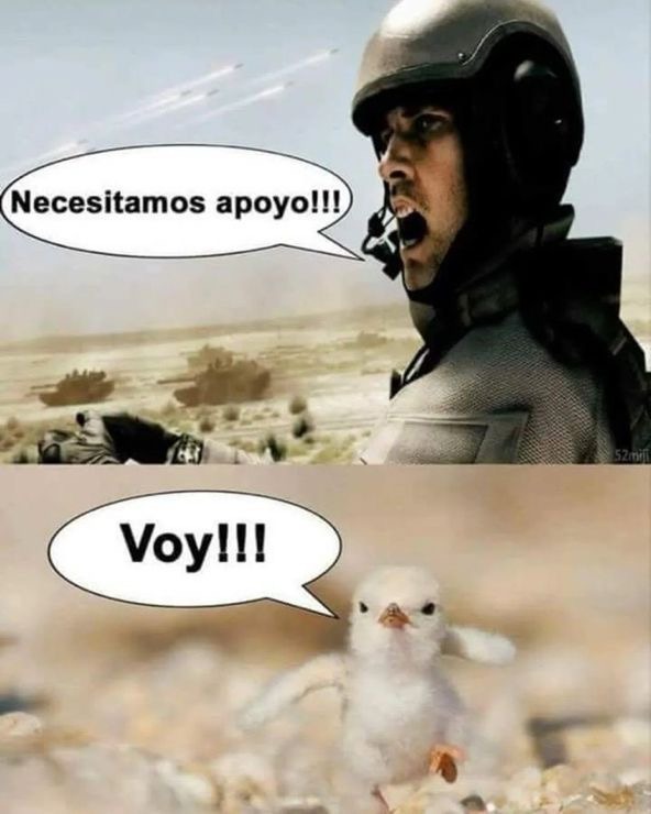 Los Últimos Memes :) Memedroid