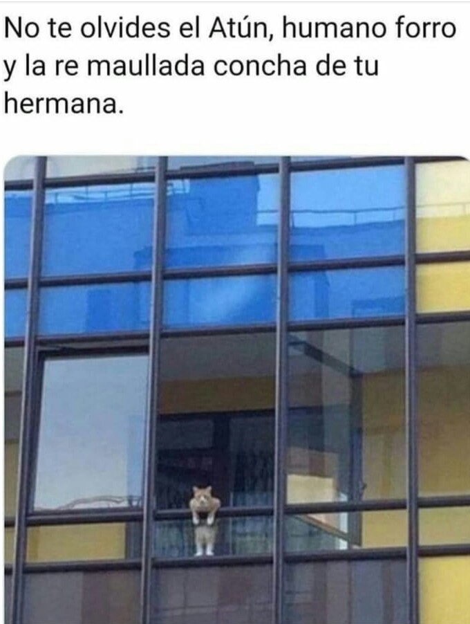 Loool Jaja Meme By Larana Memedroid