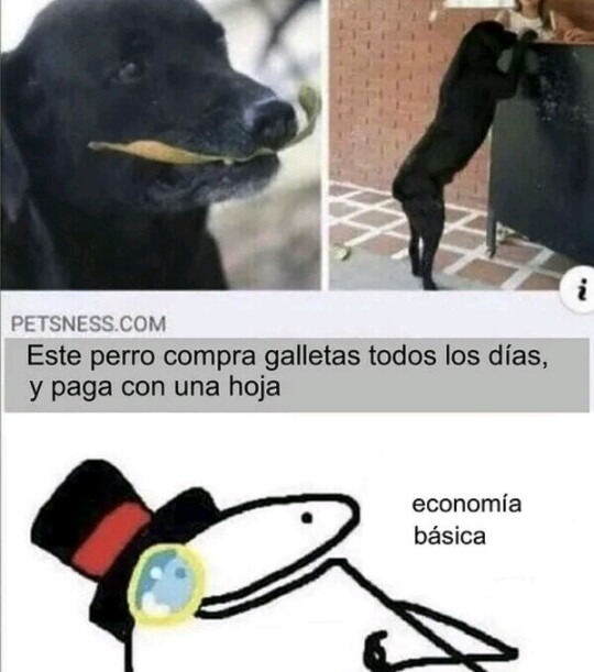 Básica - Meme subido por Tiago_ackerman200778 :) Memedroid