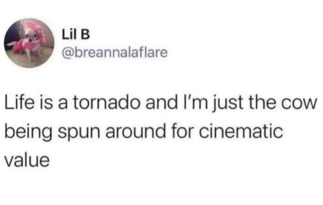 Lol - Meme by MemeoryLaine :) Memedroid