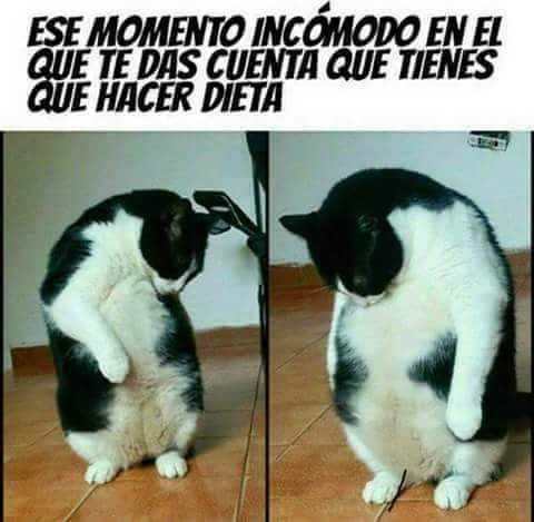 Que estará buscando ! - Meme subido por Rayden16 :) Memedroid