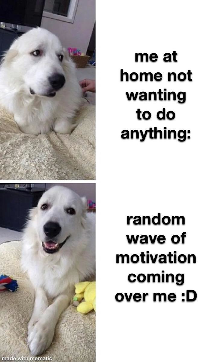Encouragement Dog Meme