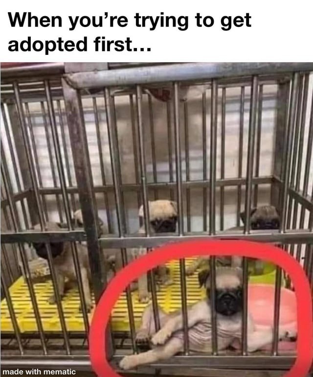 The best Npc memes :) Memedroid