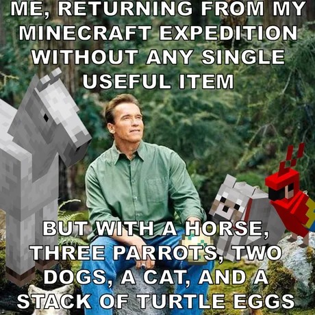 minecraft meme - Meme by Jade_prox :) Memedroid