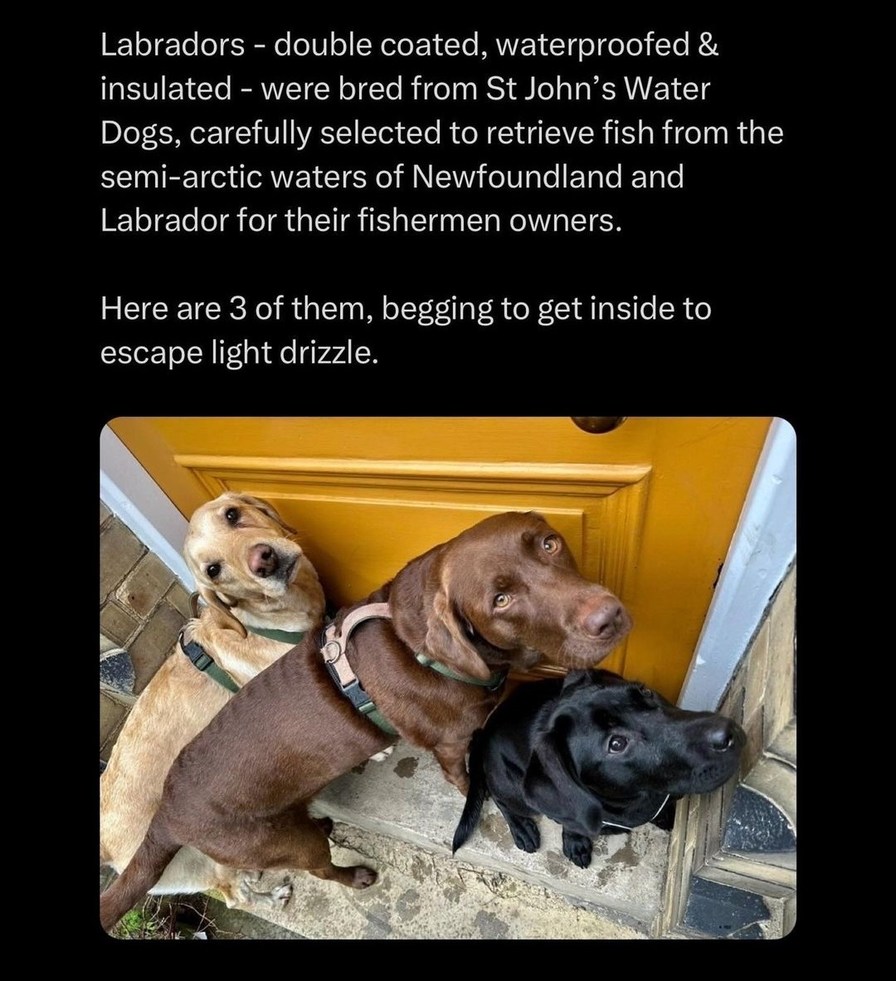 Latest memes / New memes :) Memedroid