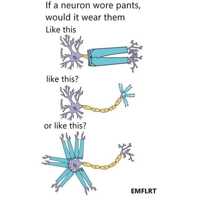 The best Neuron memes :) Memedroid