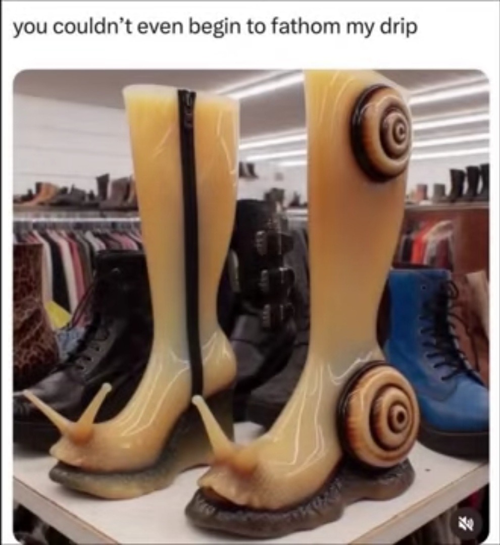 The best Snail memes :) Memedroid