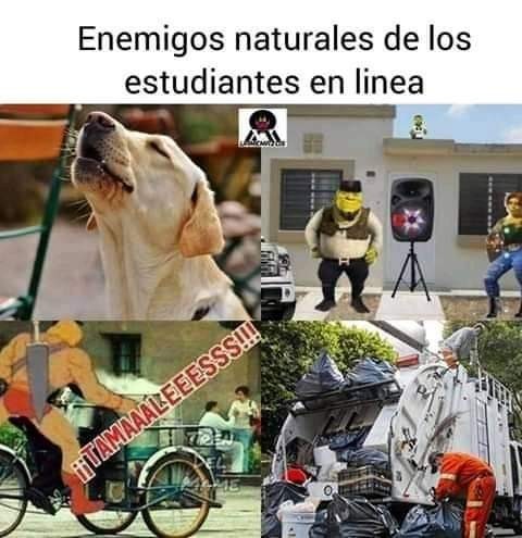 Auuuuu - Meme by wolschaldo :) Memedroid