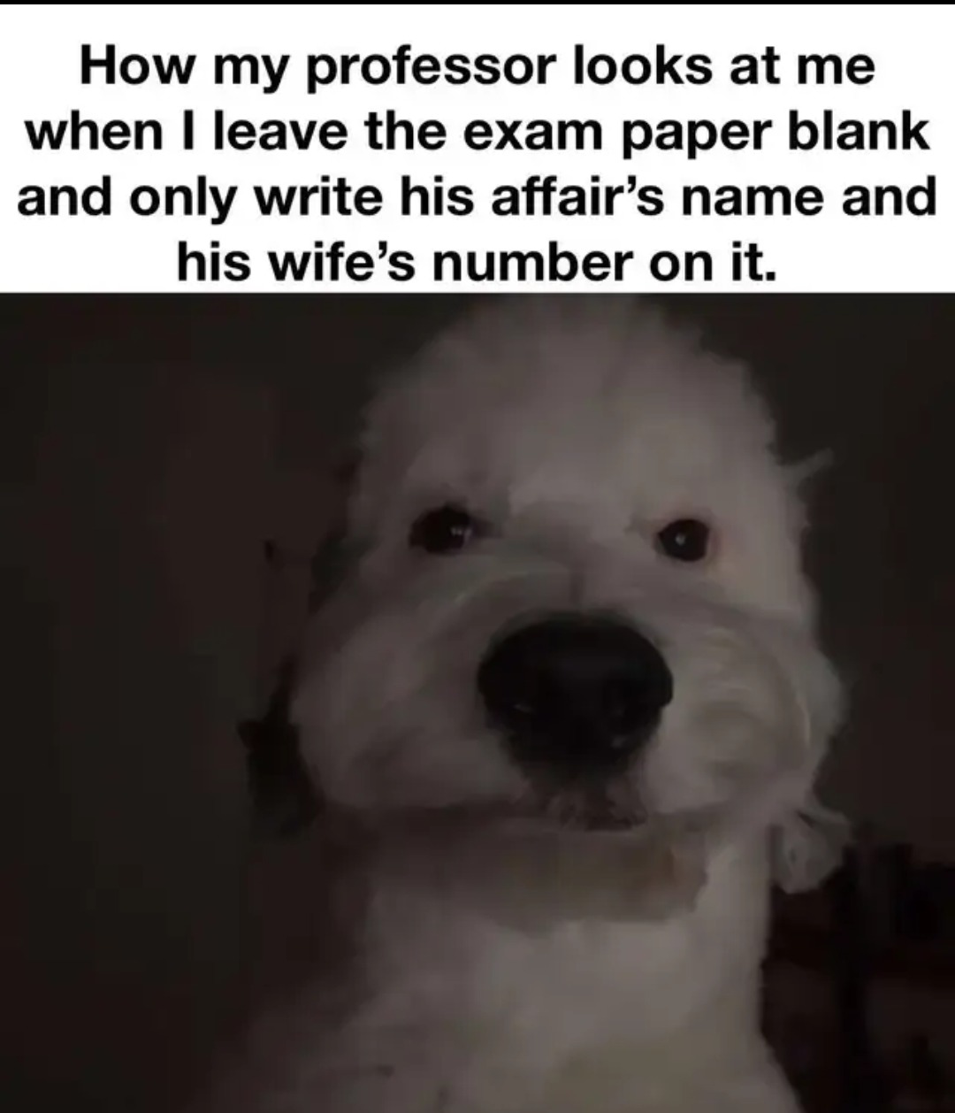 The best Professor memes :) Memedroid