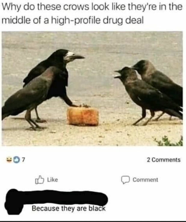 The best Crow memes :) Memedroid