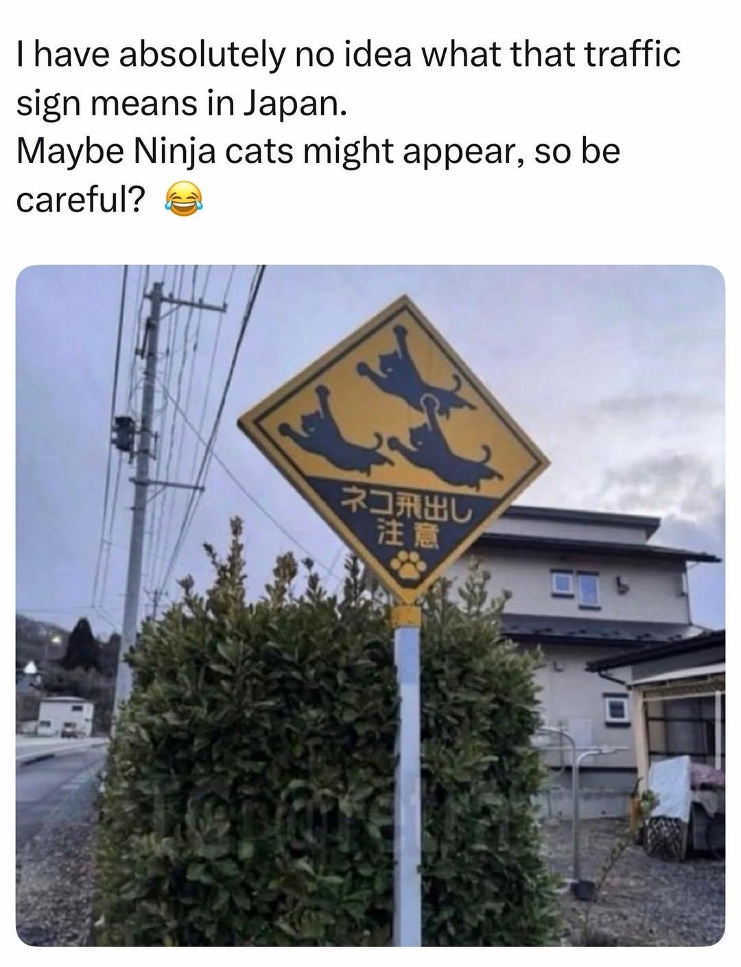The Best Japan Memes :) Memedroid