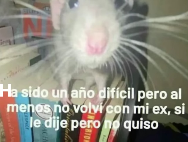 meme de amor rechazado - Meme subido por Alextrex10 :) Memedroid