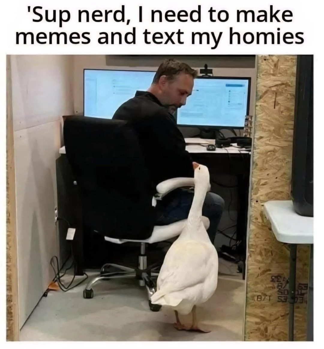 The best Texting memes :) Memedroid