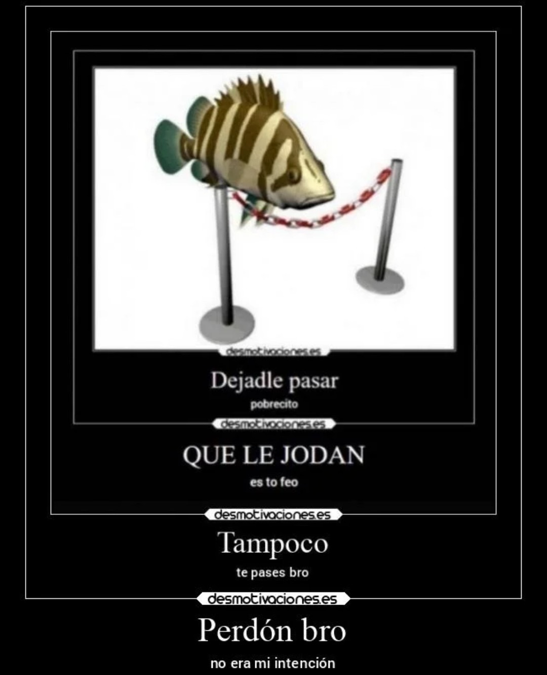 Fish - Meme by Guiso_de_mondongo10 :) Memedroid