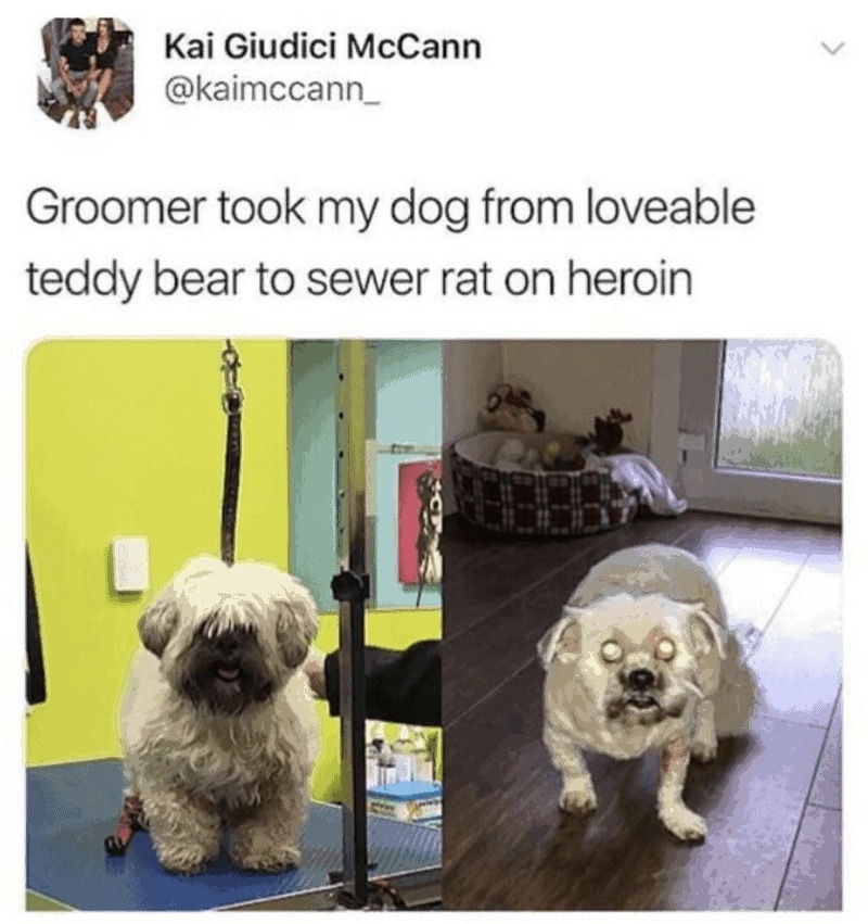 The Latest Memes :) Memedroid