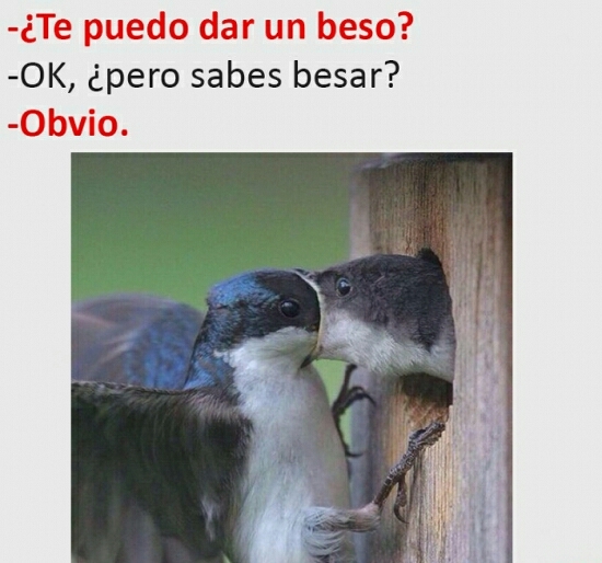 Si obvio - Meme subido por Alpro7 :) Memedroid