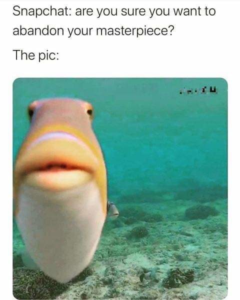 Pik - Meme by YourOtherLeft :) Memedroid