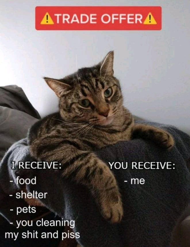 A solid deal - Meme by mathbeard :) Memedroid