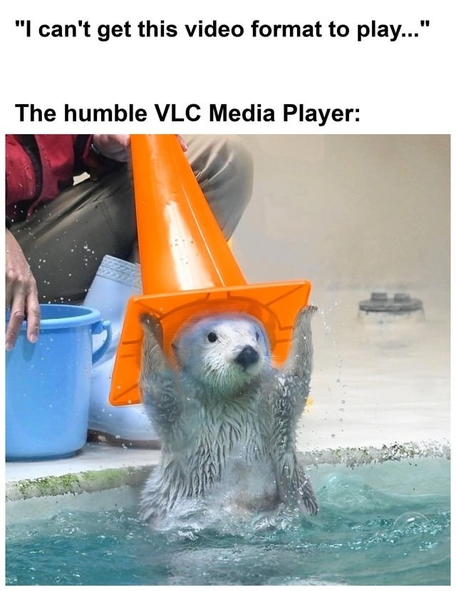 Trending Memes: Top Featured Content Right Now :) Memedroid