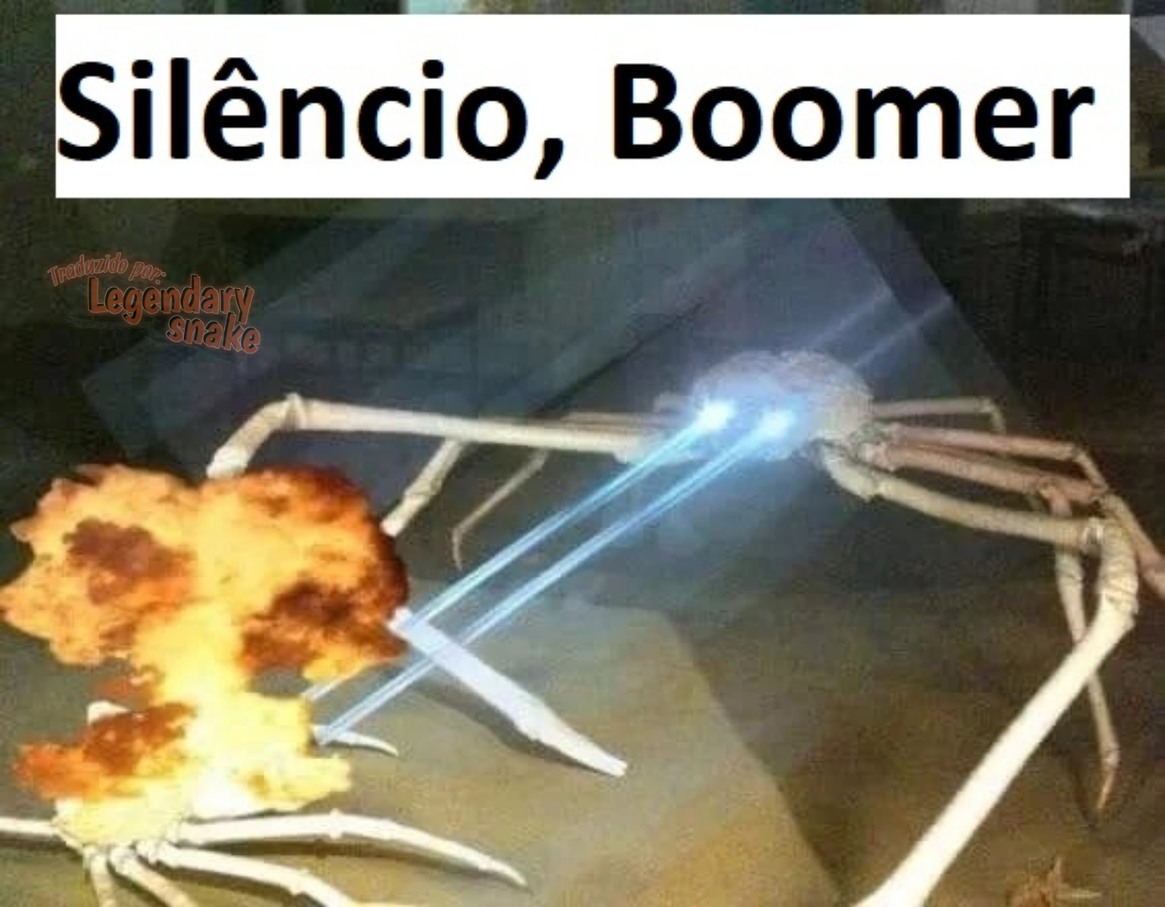 Boomer - Meme by legendarysnake :) Memedroid