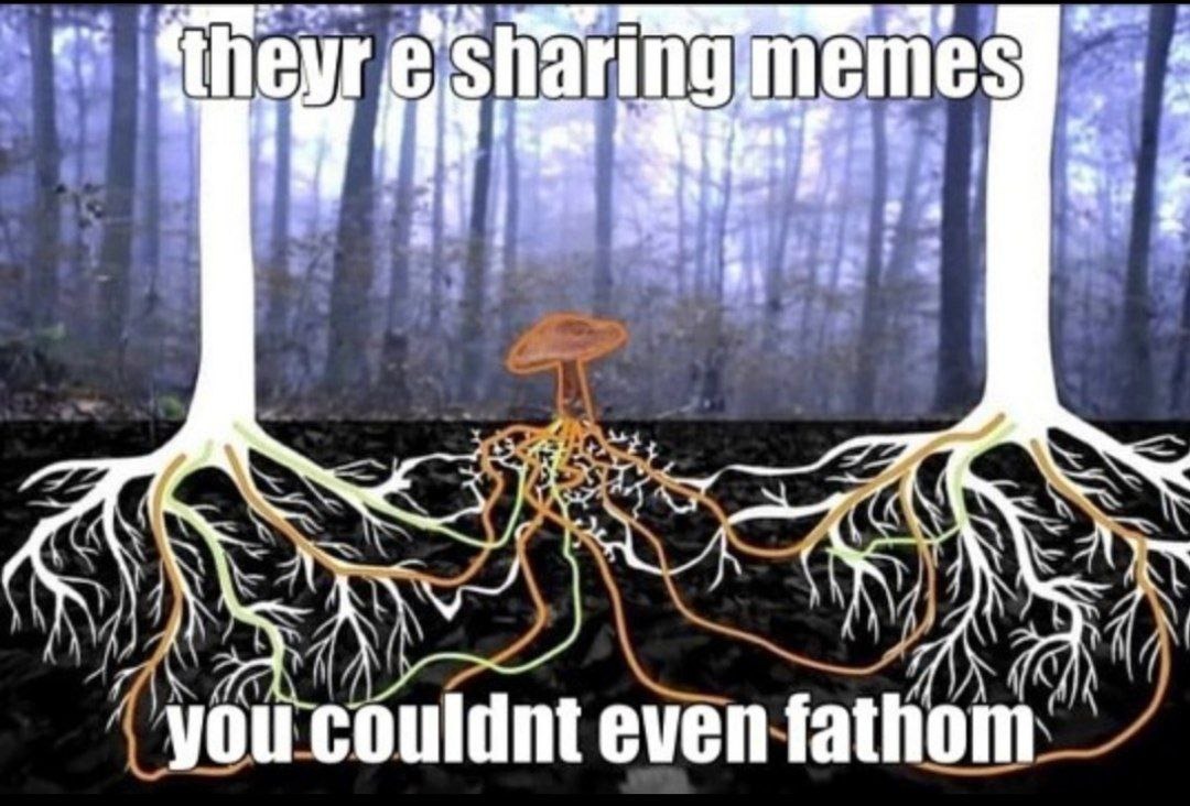 The best Tree memes :) Memedroid