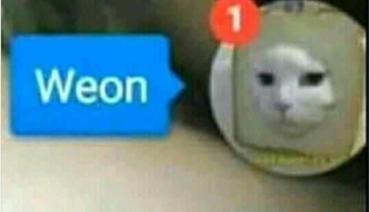 weon - Meme subido por soyunajalea :) Memedroid