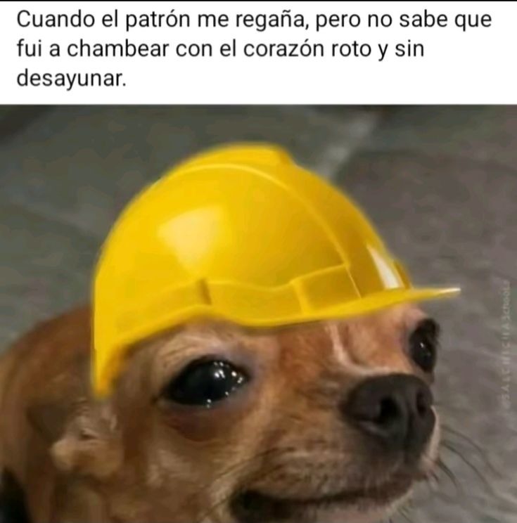 Top memes de Ahea en español :) Memedroid