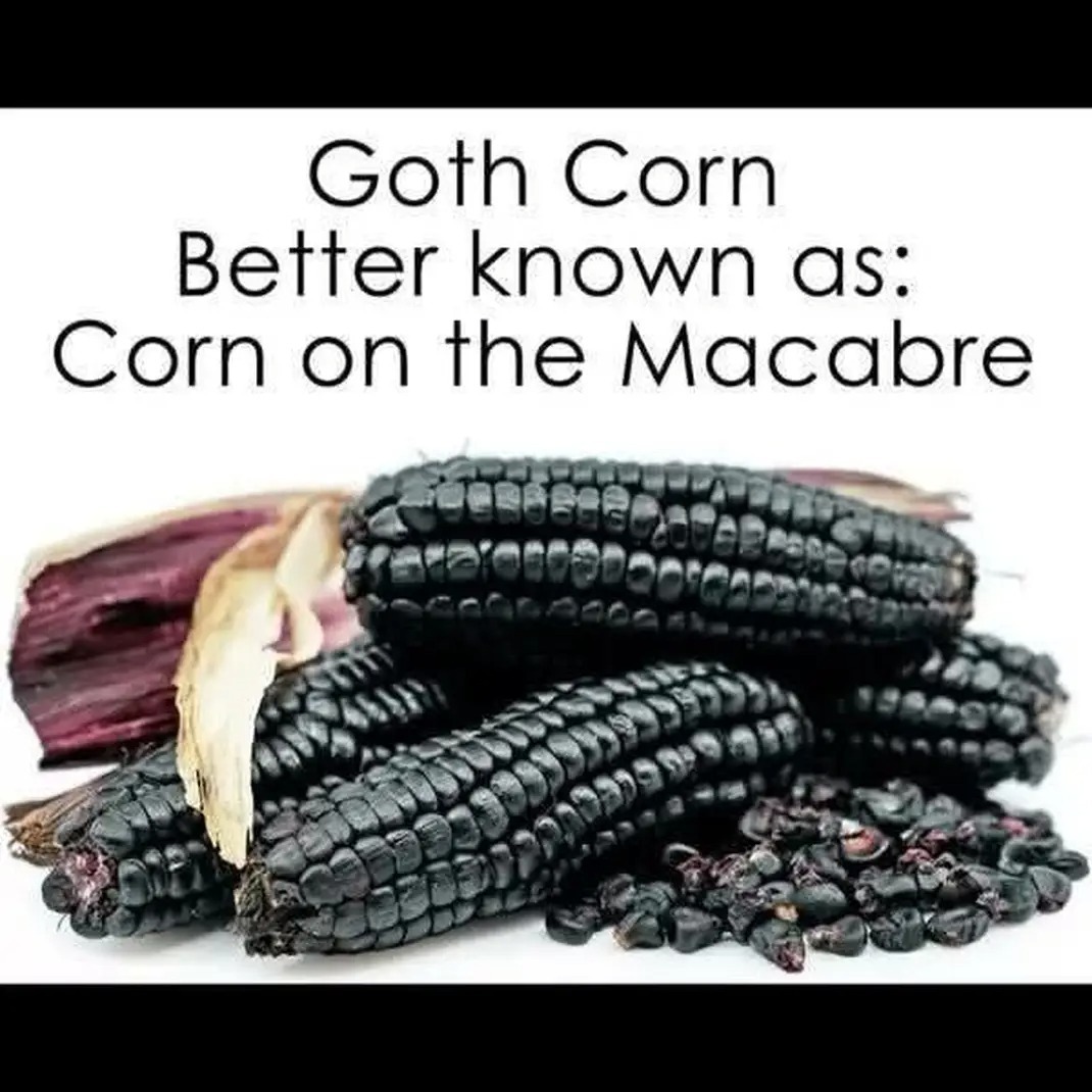 The best Corn memes :) Memedroid