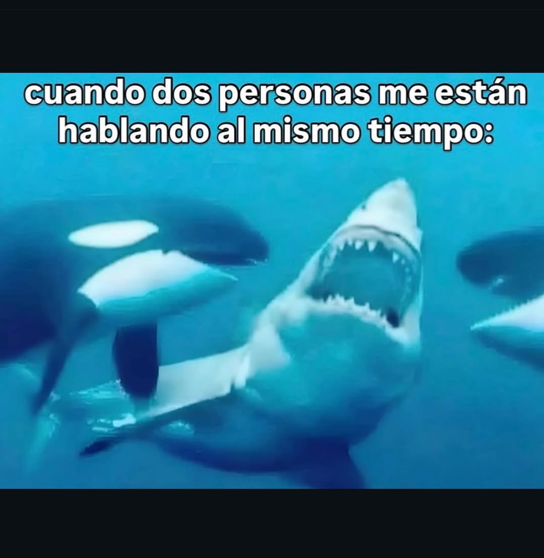 Top memes de Discusion en español :) Memedroid