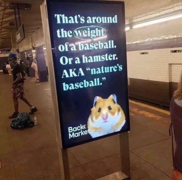 The best Baseball memes :) Memedroid