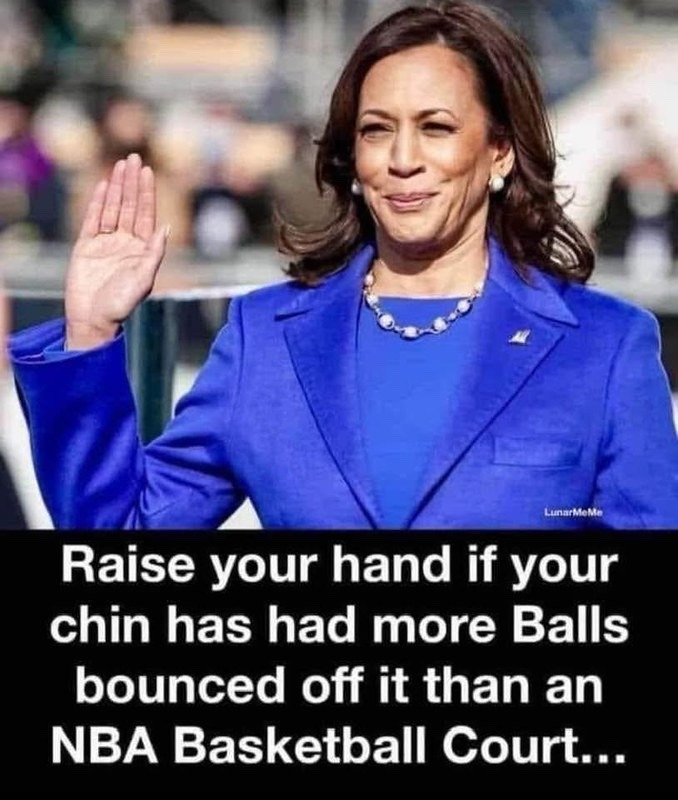 The Latest Memes :) Memedroid