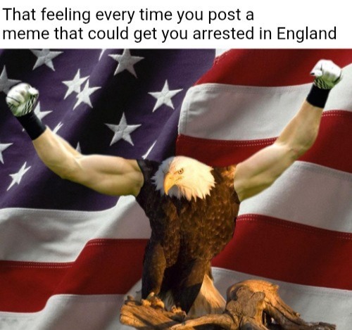 The best Eagle memes :) Memedroid