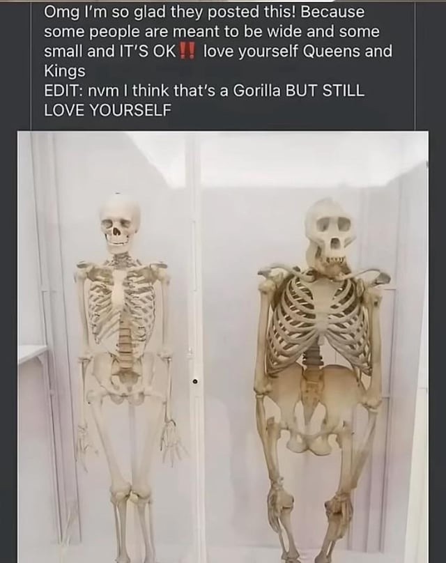 The best Perspective memes :) Memedroid