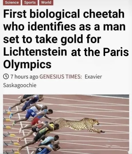 The best Cheetah memes :) Memedroid