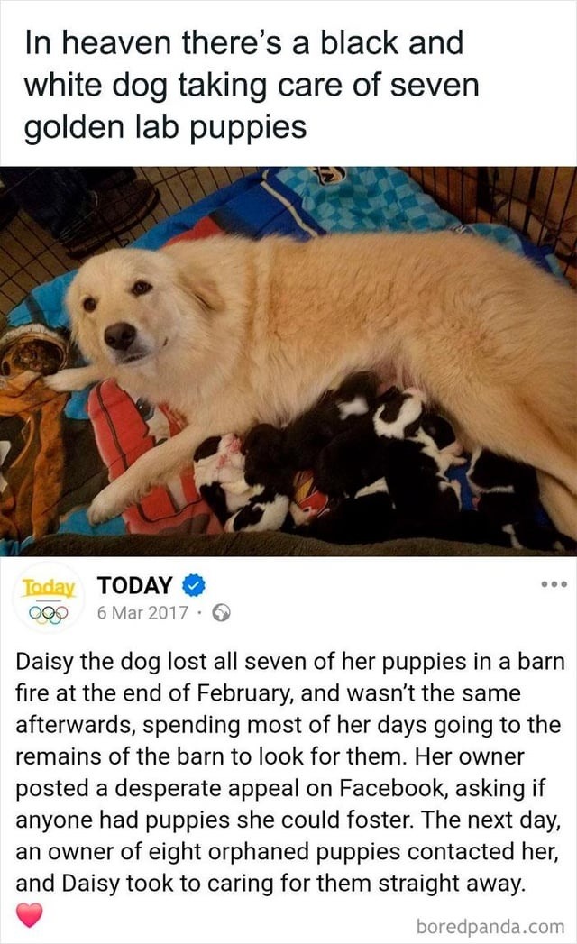 The best Heaven memes :) Memedroid