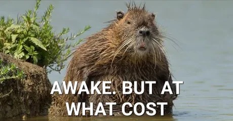 Latest memes / New memes :) Memedroid