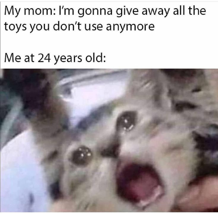 dis me - Meme by toodle :) Memedroid