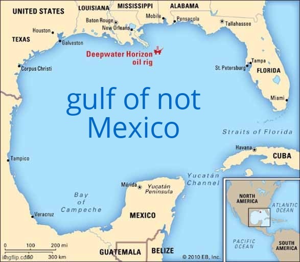 Latest memes / New memes :) Memedroid