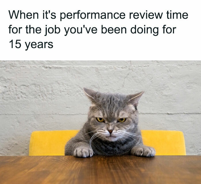 The best Performance memes :) Memedroid