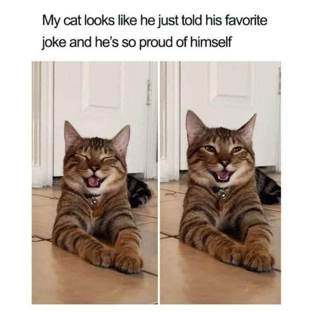 Latest memes / New memes :) Memedroid