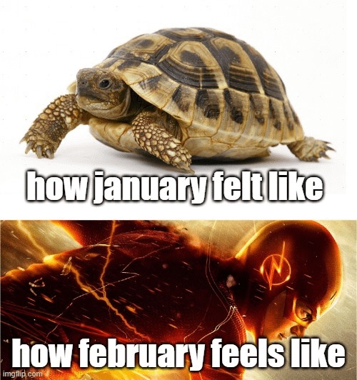 The Best February Memes :) Memedroid