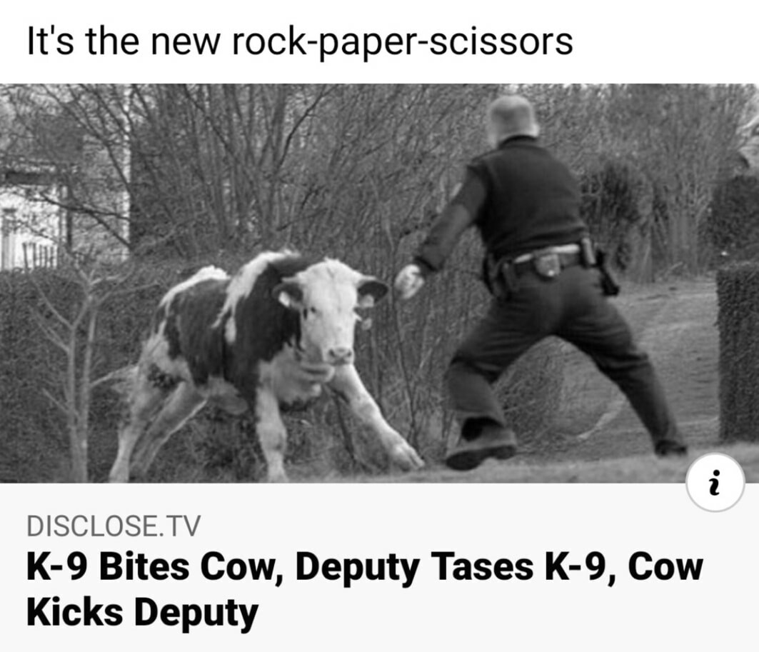 Deputy Memes Haha!! This Is So My Kid!! Just Waiting Till He Gets Old