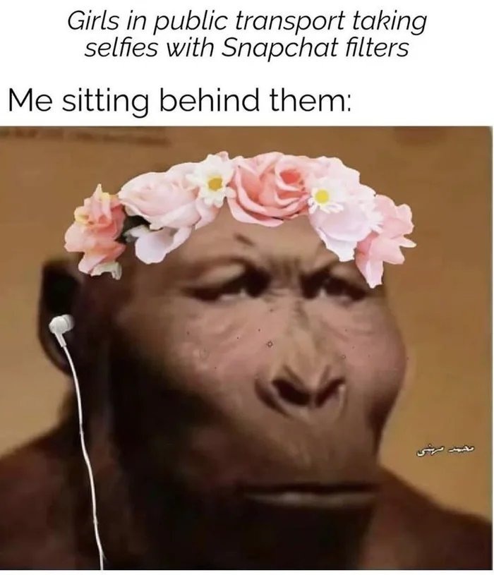 The Latest Memes :) Memedroid