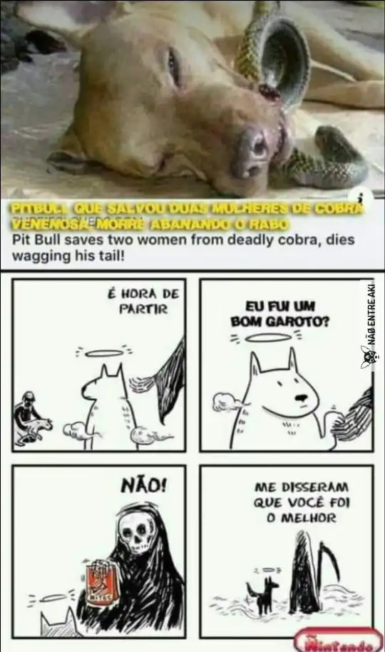 Meus globos oculares estão suando demais. - Meme by PedroJosefino ...