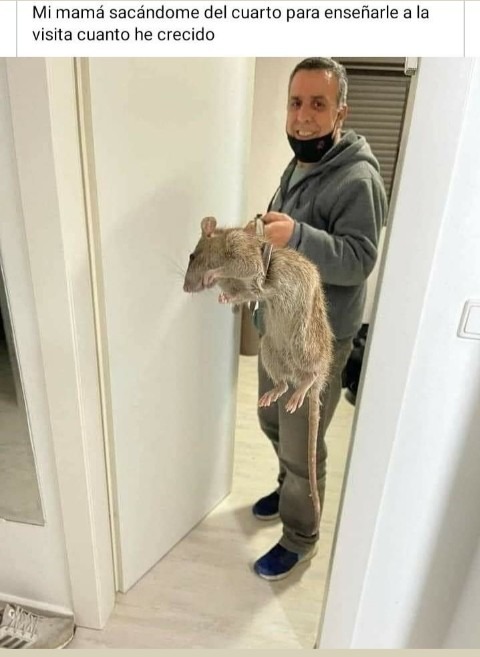 Últimos memes :) Memedroid