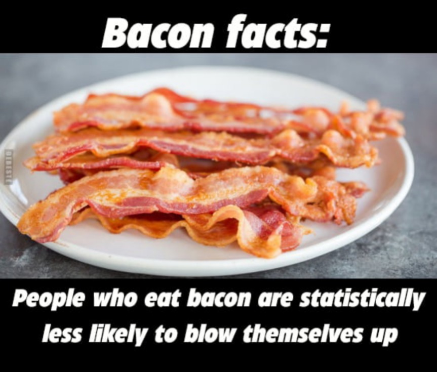 Bacon Facts Memes I Love Bacon And I Know Things V2 Women T Shirt