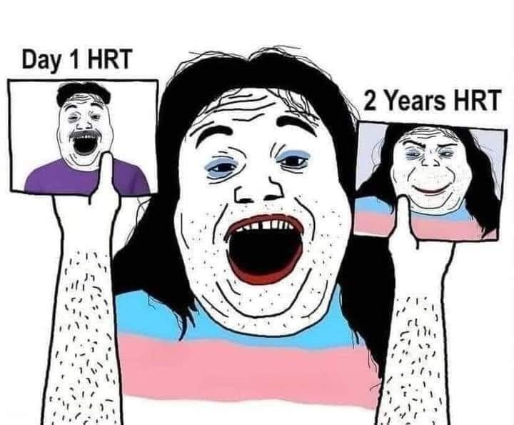 The best Trans memes :) Memedroid