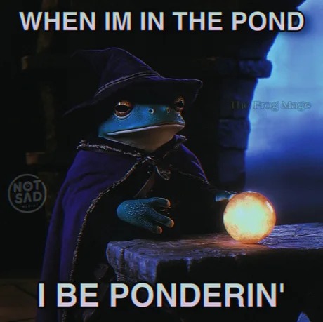 Latest memes / New memes :) Memedroid