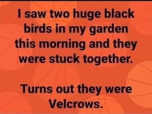 The best Velcro memes :) Memedroid