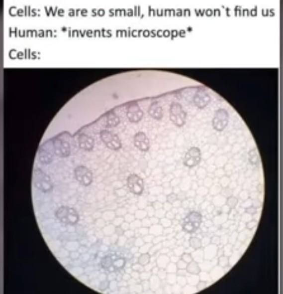 Oh no we are caught - Meme by SCAR_LETT :) Memedroid